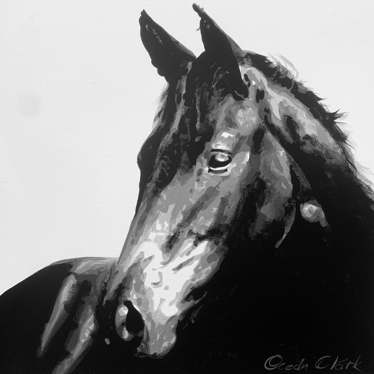 Black Horse – Ocean Clark Art
